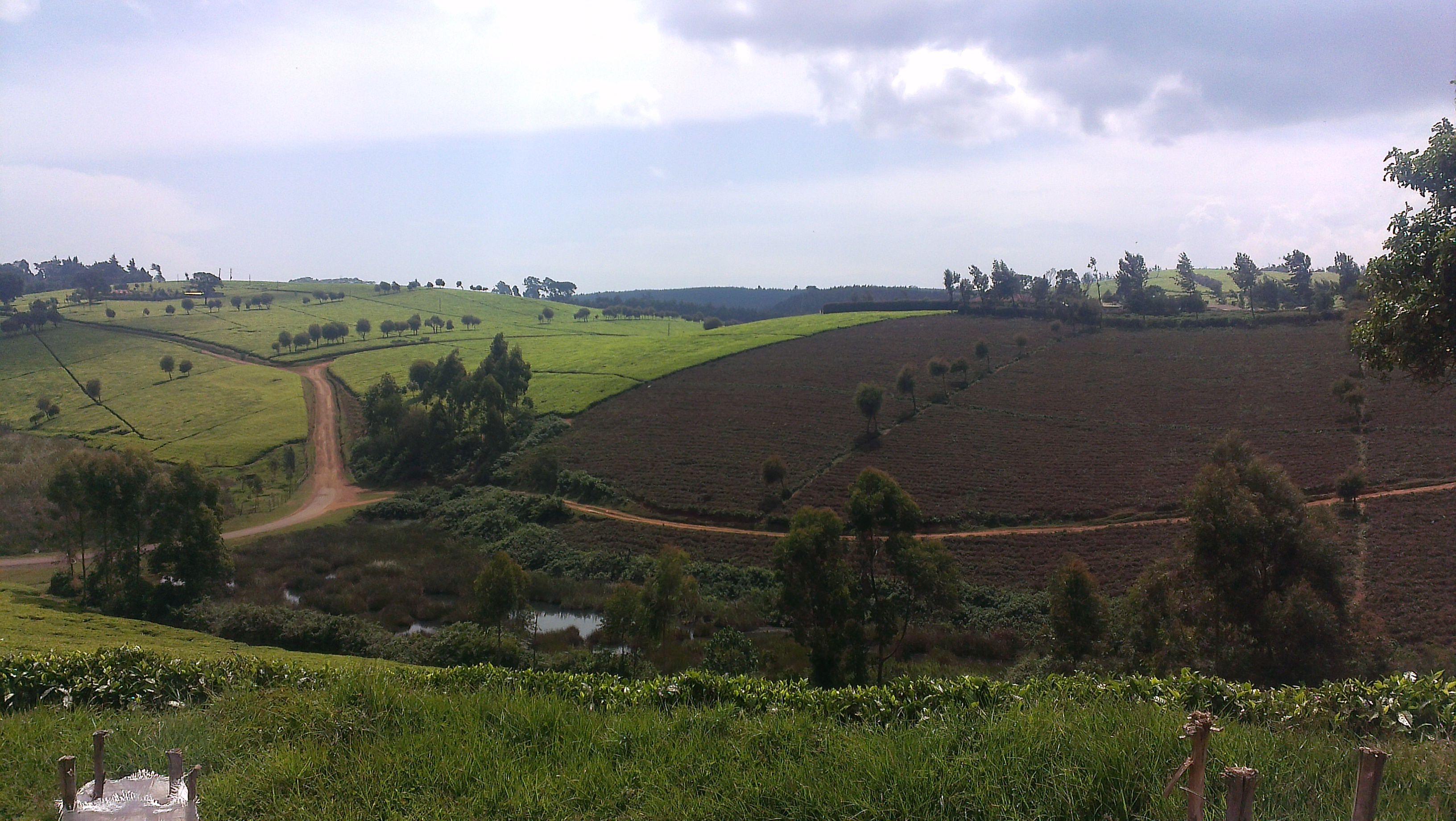Moving to Limuru – Houses for Sale & Rent | Neighbourhood Guide